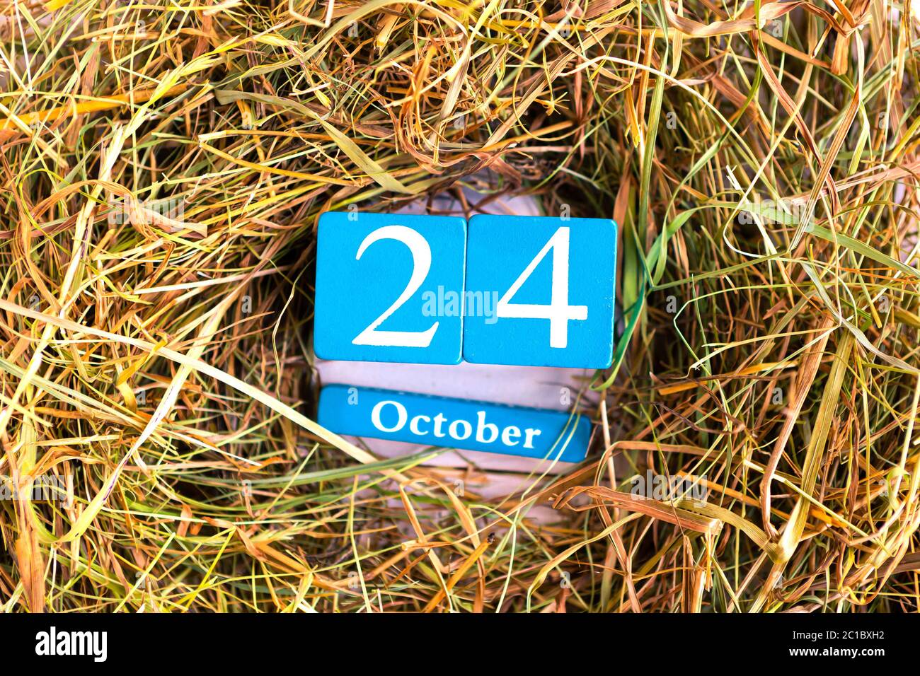 October 24. Blue cube calendar with month and date on dry straw ...