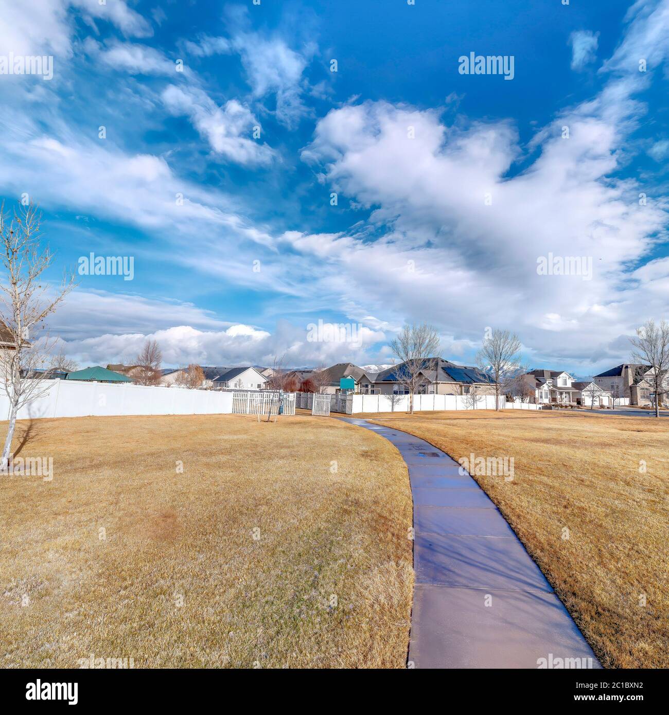 Square paved pathway trees hi-res stock photography and images - Alamy