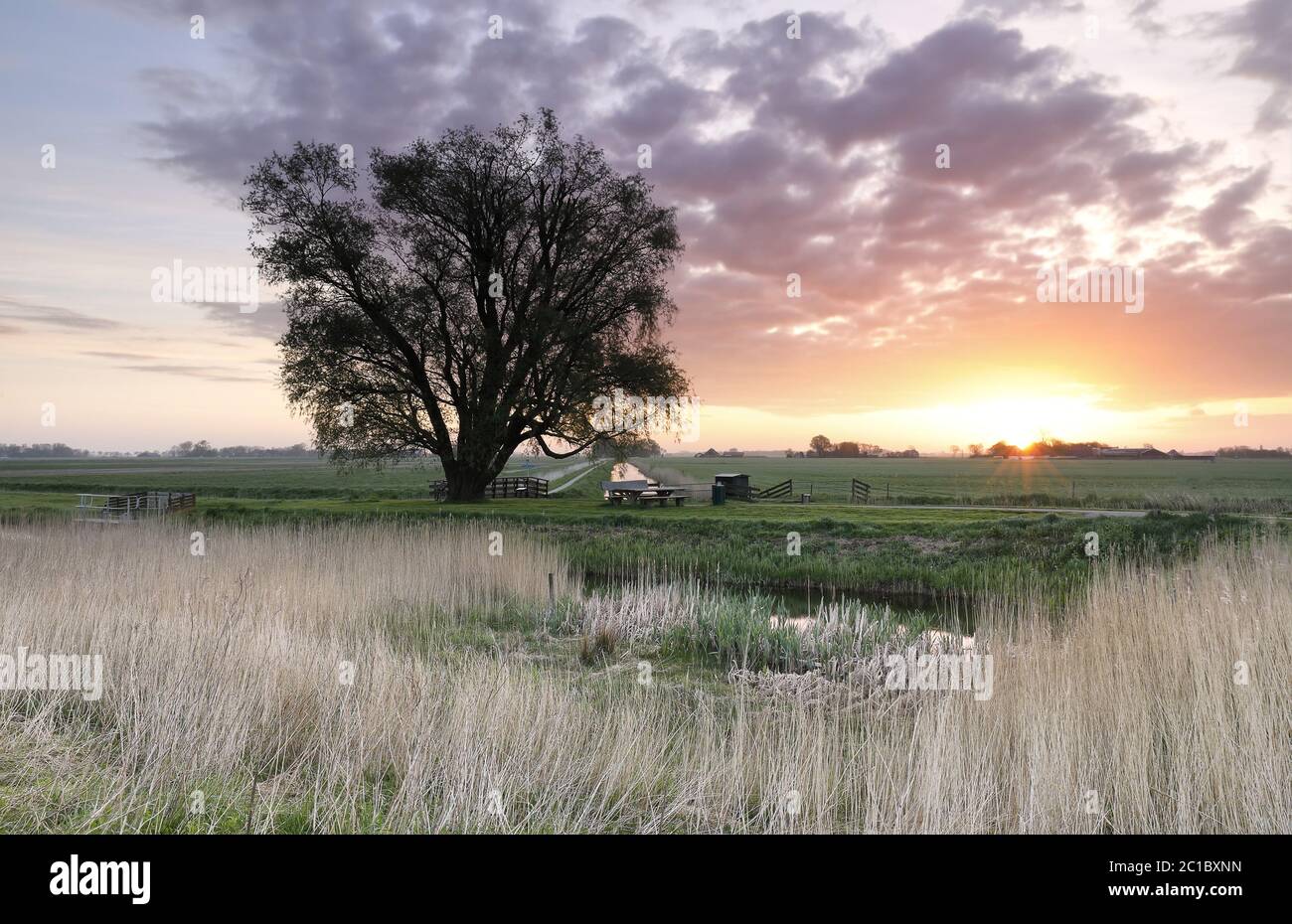 beautiful spring sunrise in countryside Stock Photo - Alamy