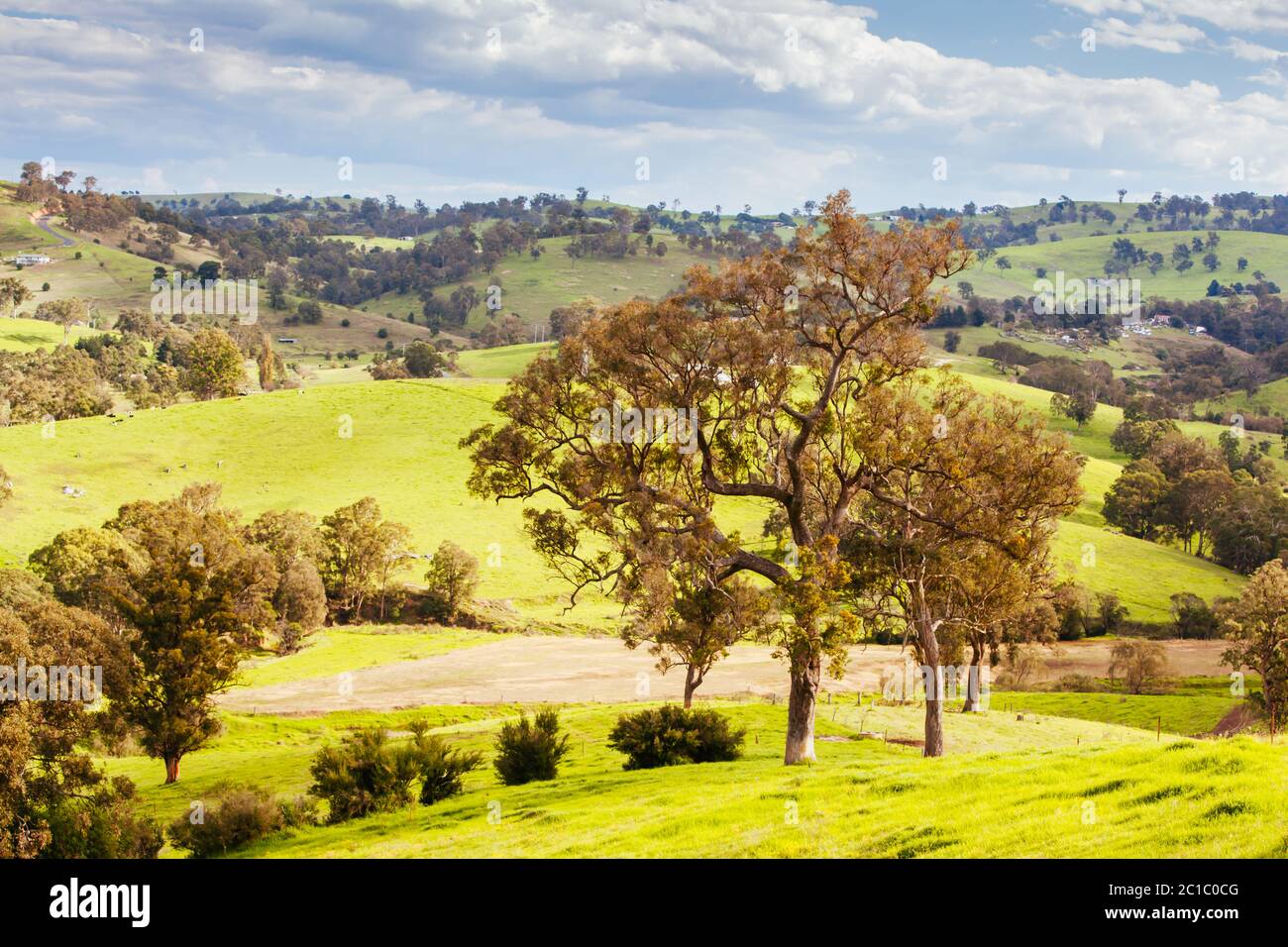 Bega, australia hi-res stock photography and images - Alamy