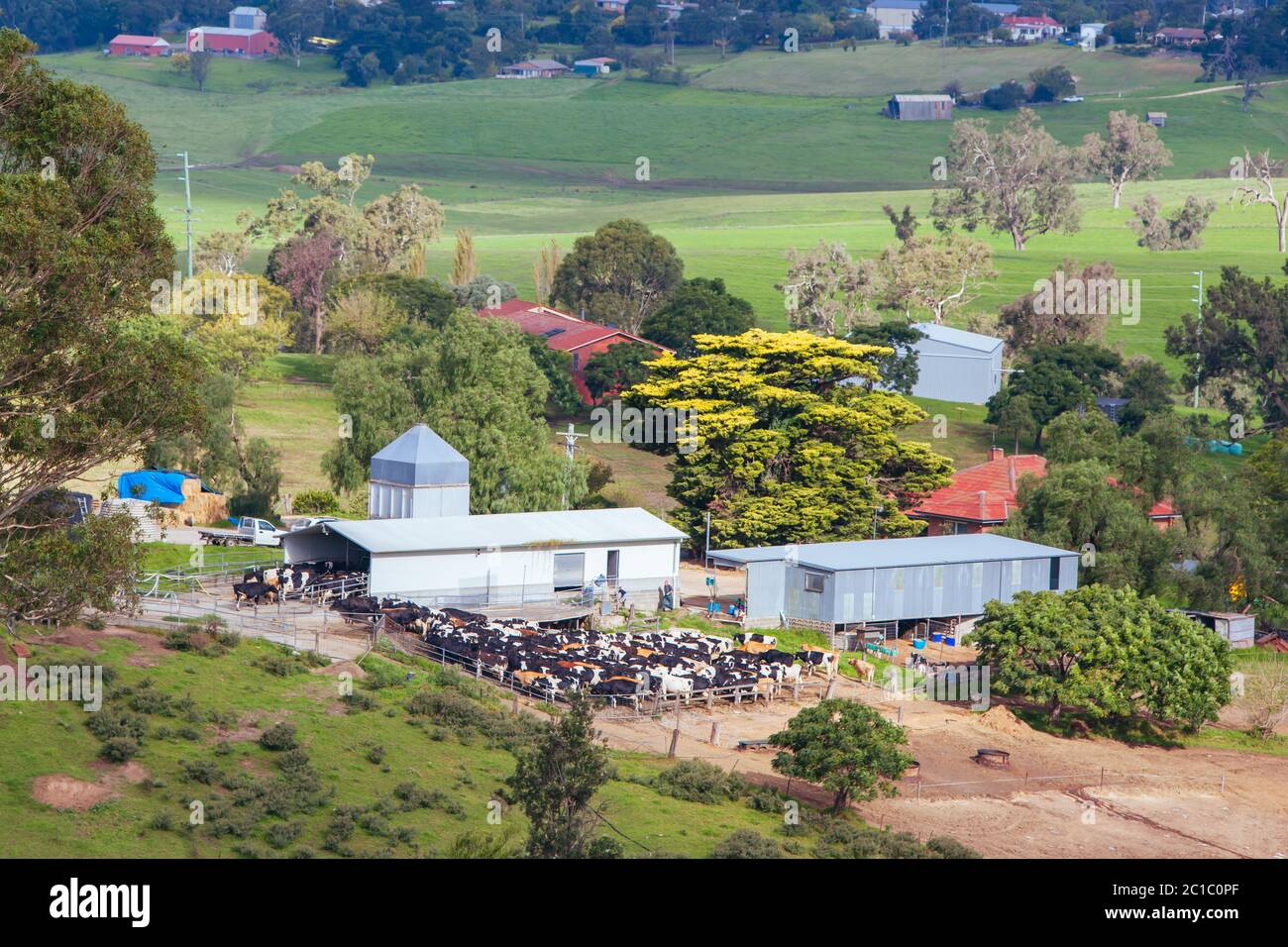 Bega nsw hi-res stock photography and images - Alamy