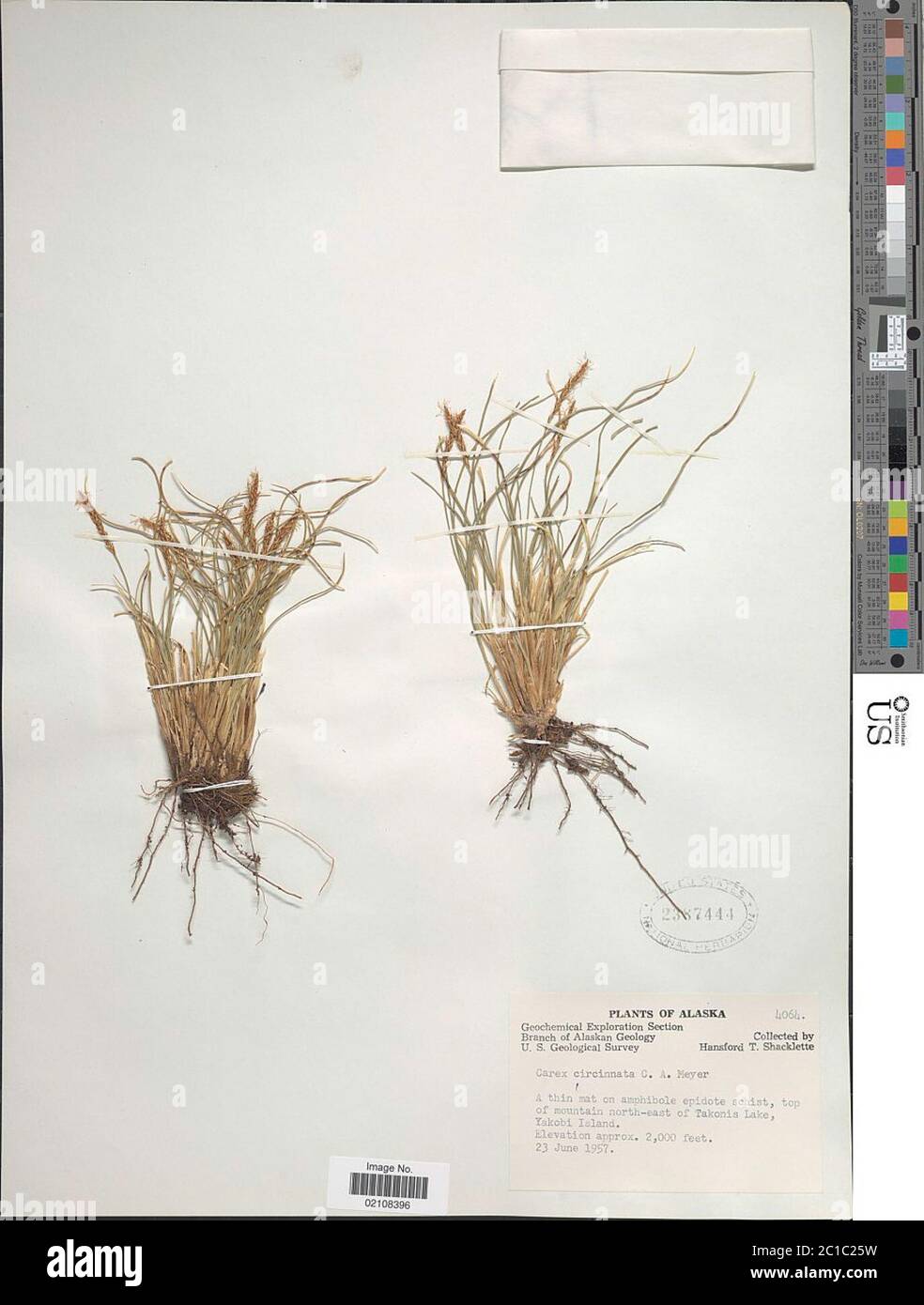 Circinata hi-res stock photography and images - Alamy