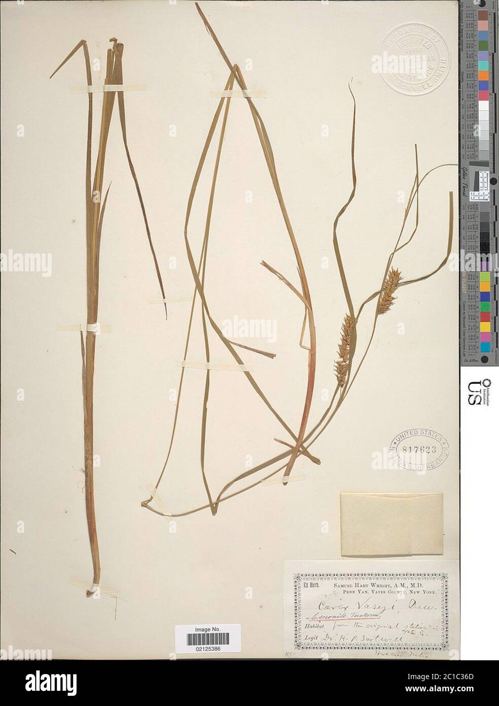 Monile hi-res stock photography and images - Alamy