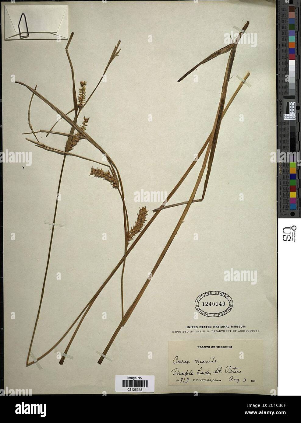 Monile hi-res stock photography and images - Alamy