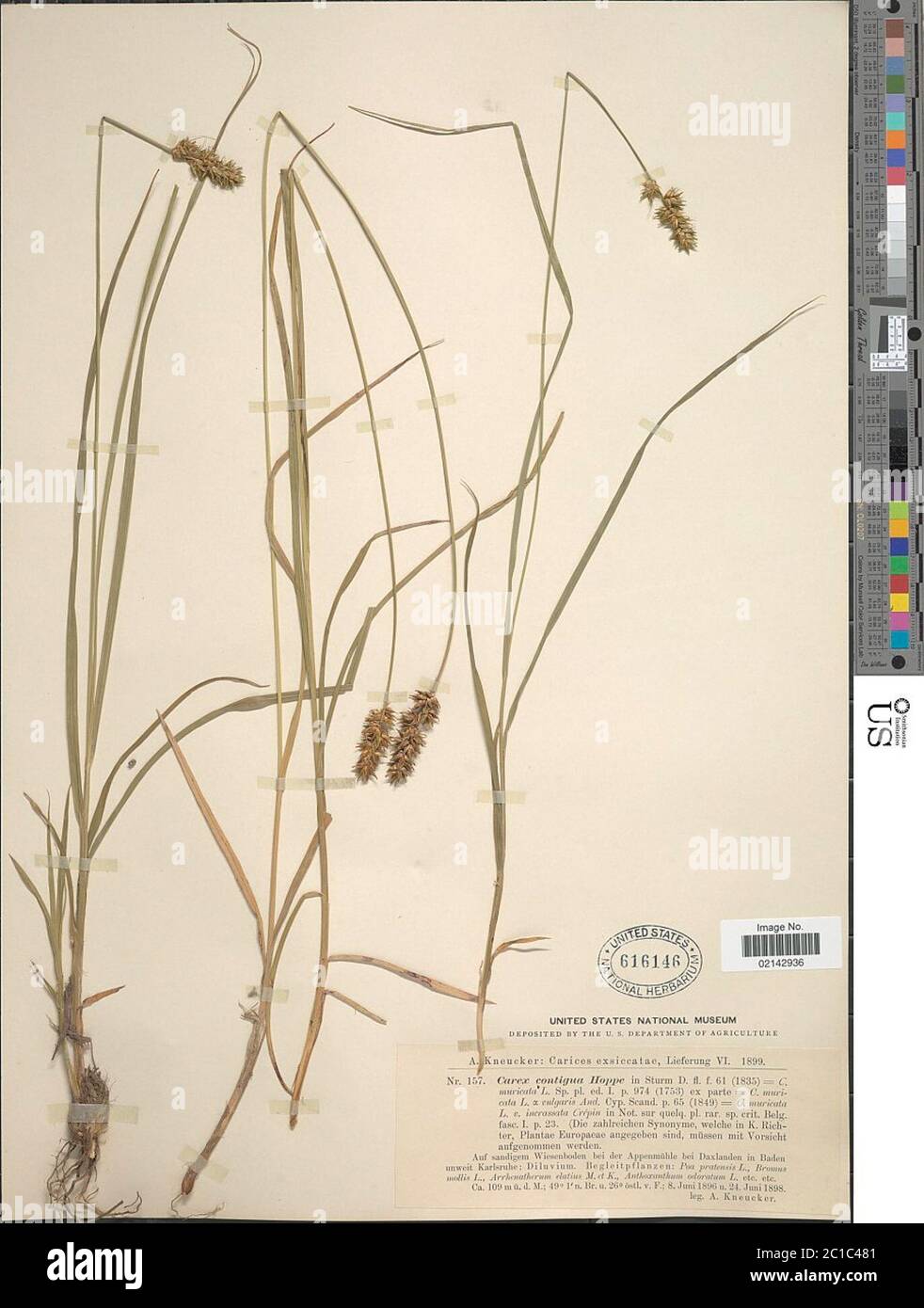 Contigua hi-res stock photography and images - Alamy