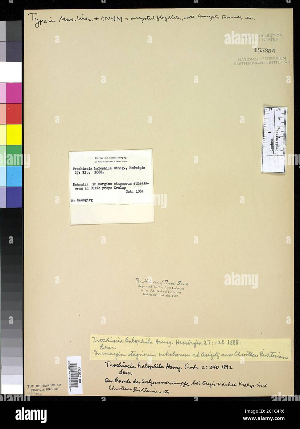 Trochiscia hi-res stock photography and images - Alamy