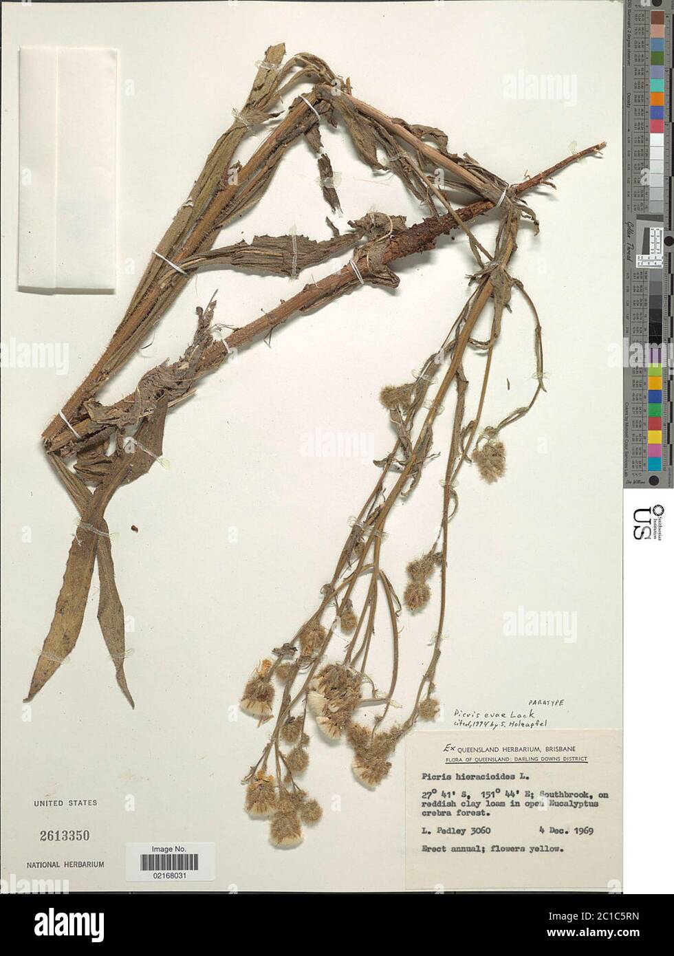 Evae hi-res stock photography and images - Alamy