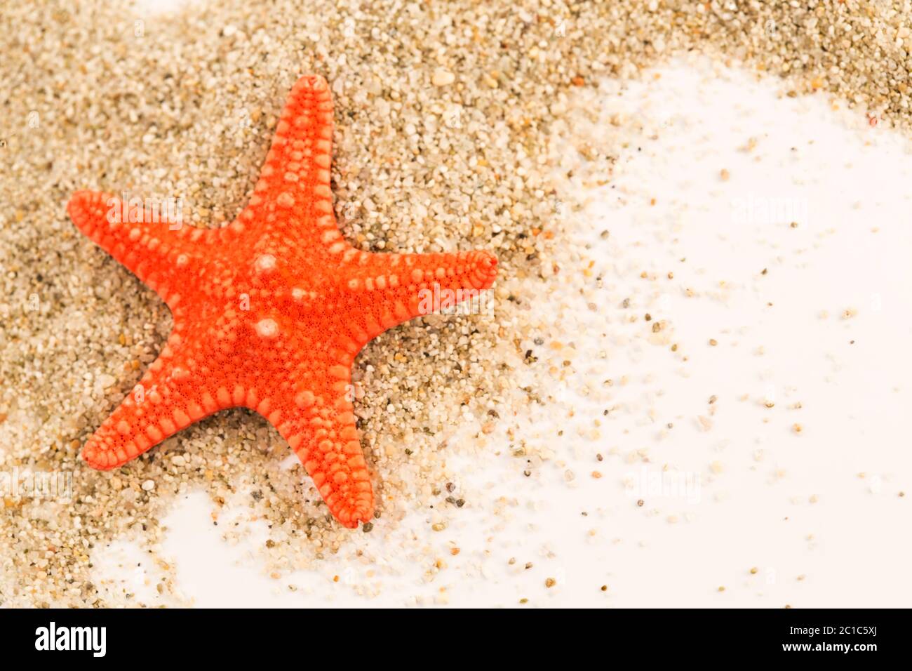 Starfish and beach sand on white background Stock Photo - Alamy
