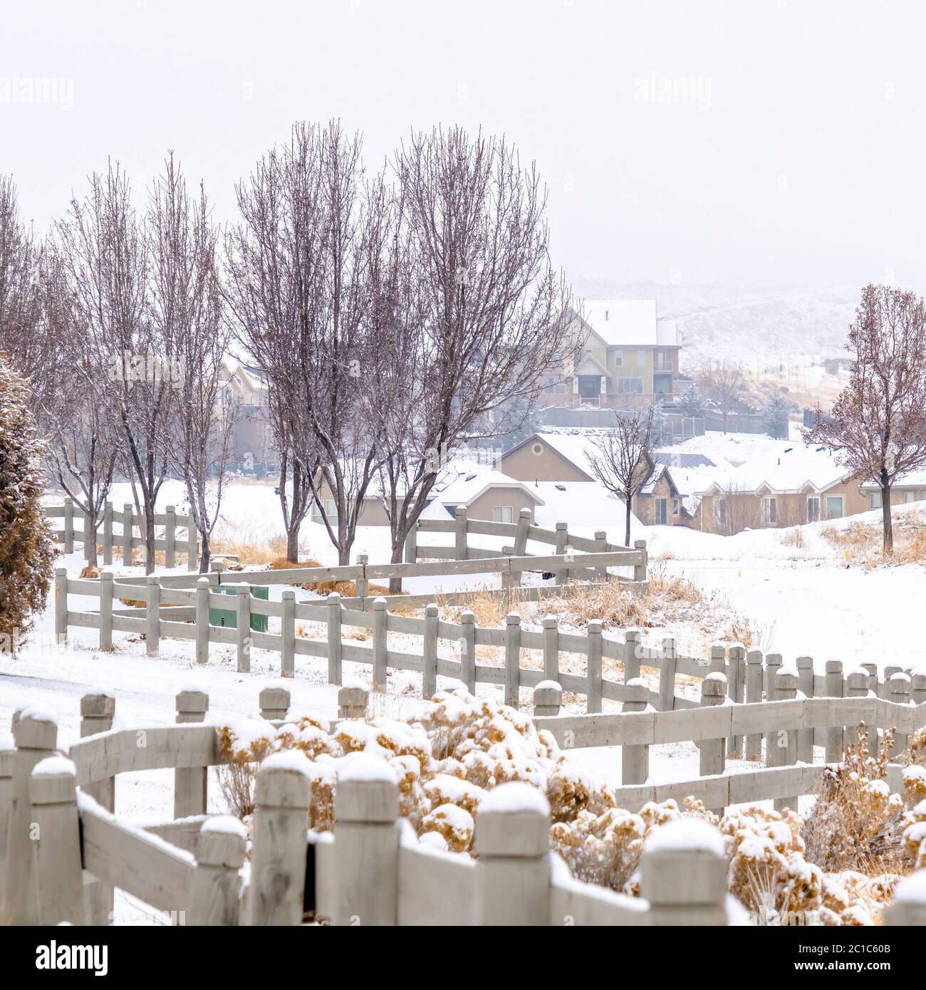 Square frame Low wooden picket fence winding through a snow covered ...