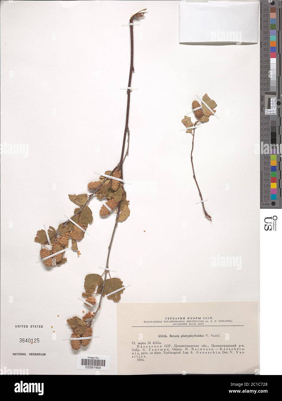 Vassil hi-res stock photography and images - Alamy