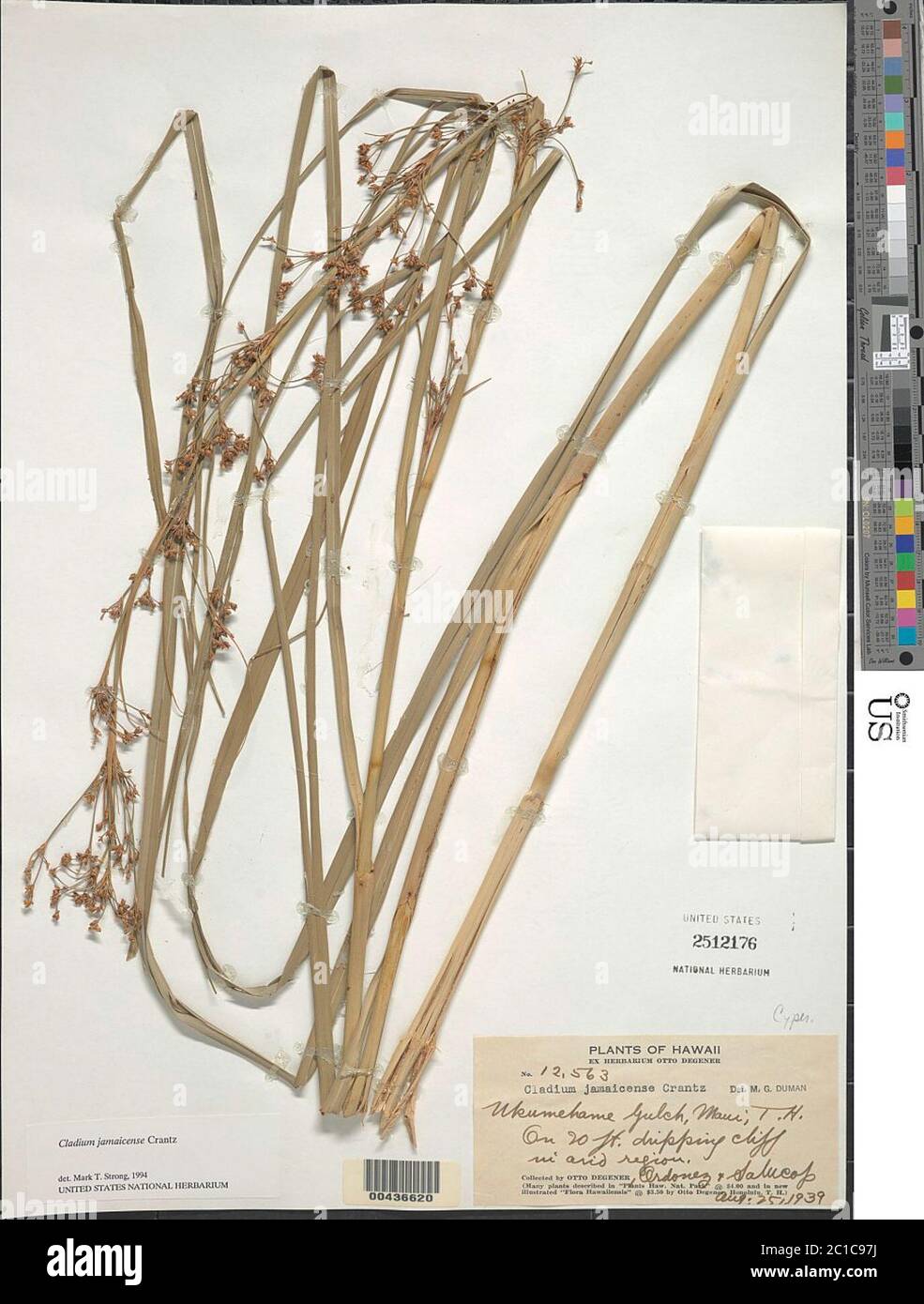 Crantz hi-res stock photography and images - Alamy