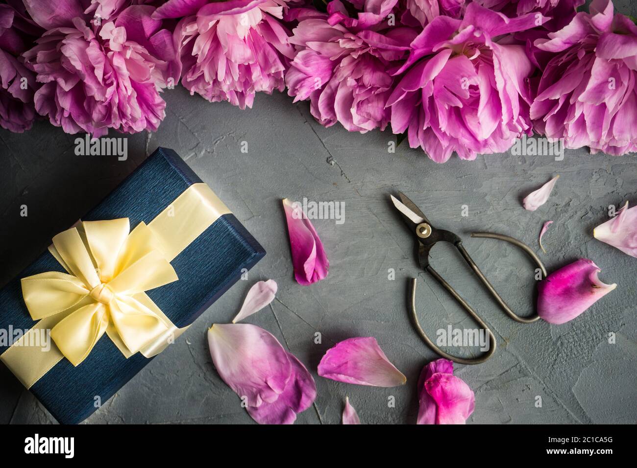 Gift box concept Stock Photo - Alamy