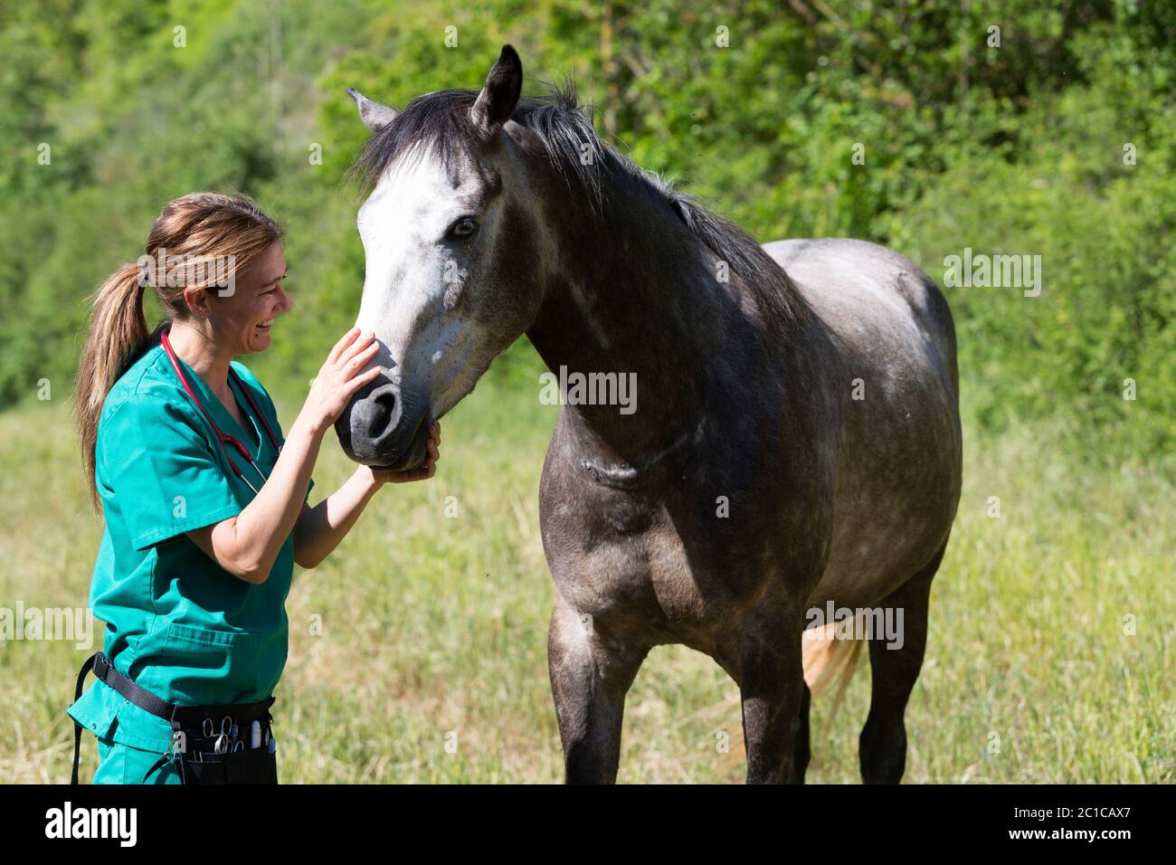 Endoscope horse hi-res stock photography and images - Alamy