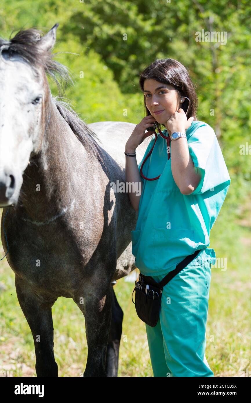 Endoscope horse hi-res stock photography and images - Alamy