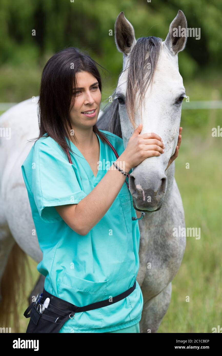 Veterinary great performing a scan to a young mare Stock Photo - Alamy