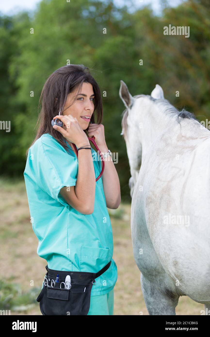 Endoscope horse hi-res stock photography and images - Alamy