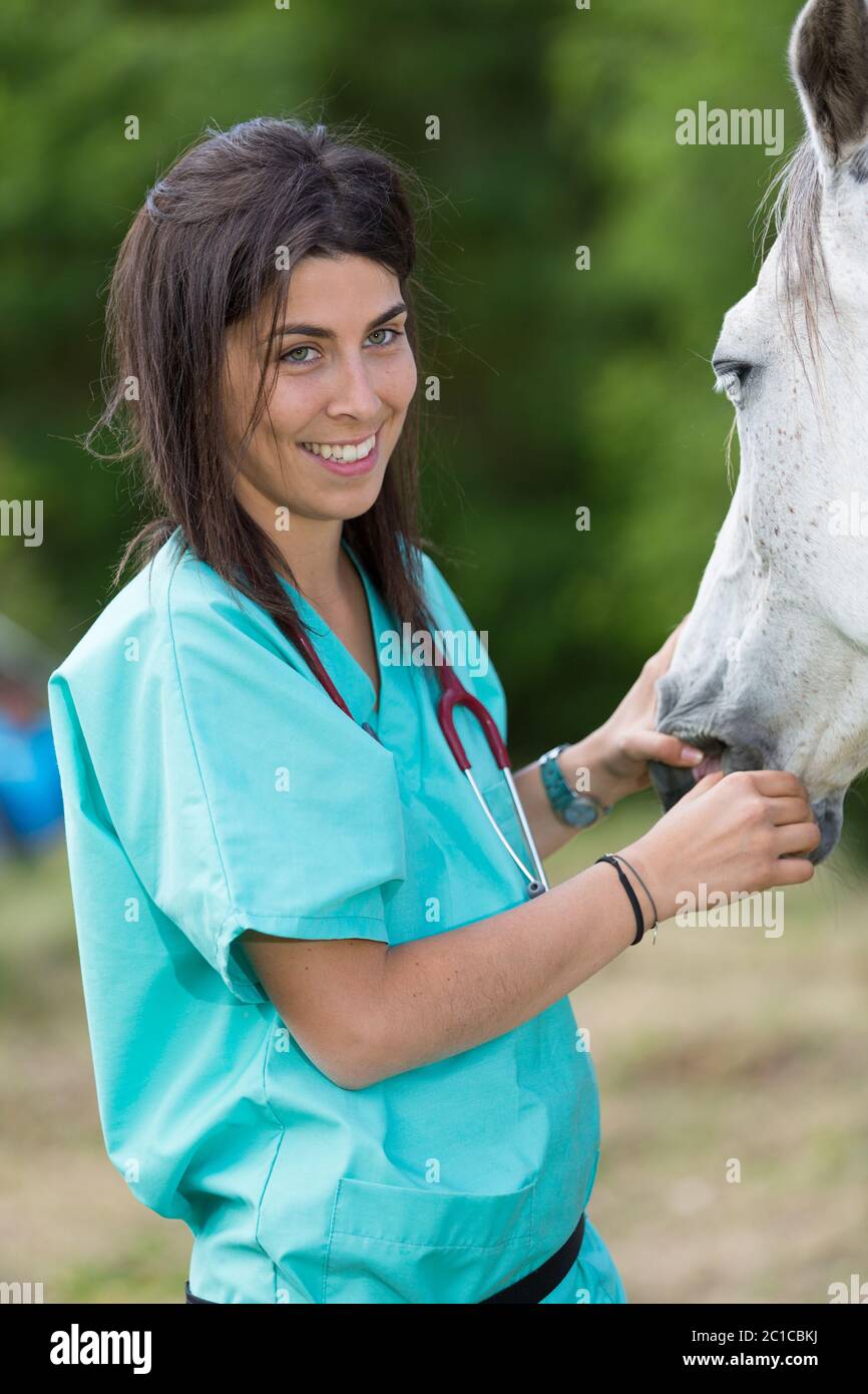 Veterinary great performing a scan to a young mare Stock Photo - Alamy