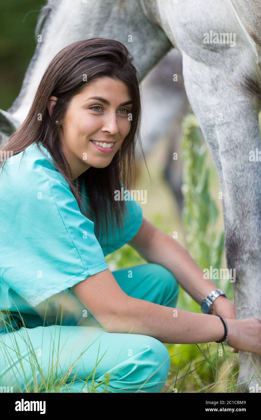 Veterinary great performing a scan to a young mare Stock Photo - Alamy