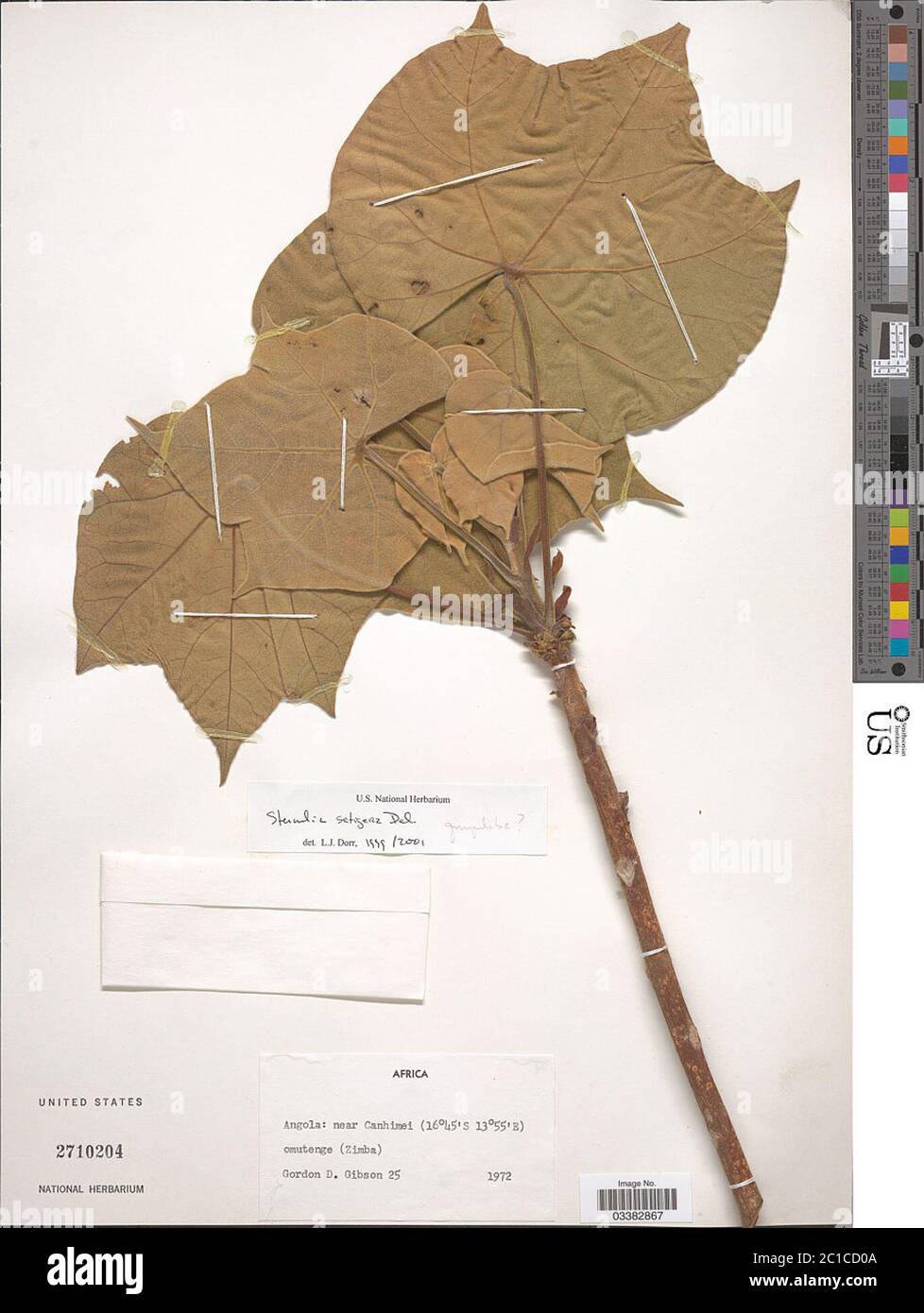 Economic botany collection hi-res stock photography and images - Alamy