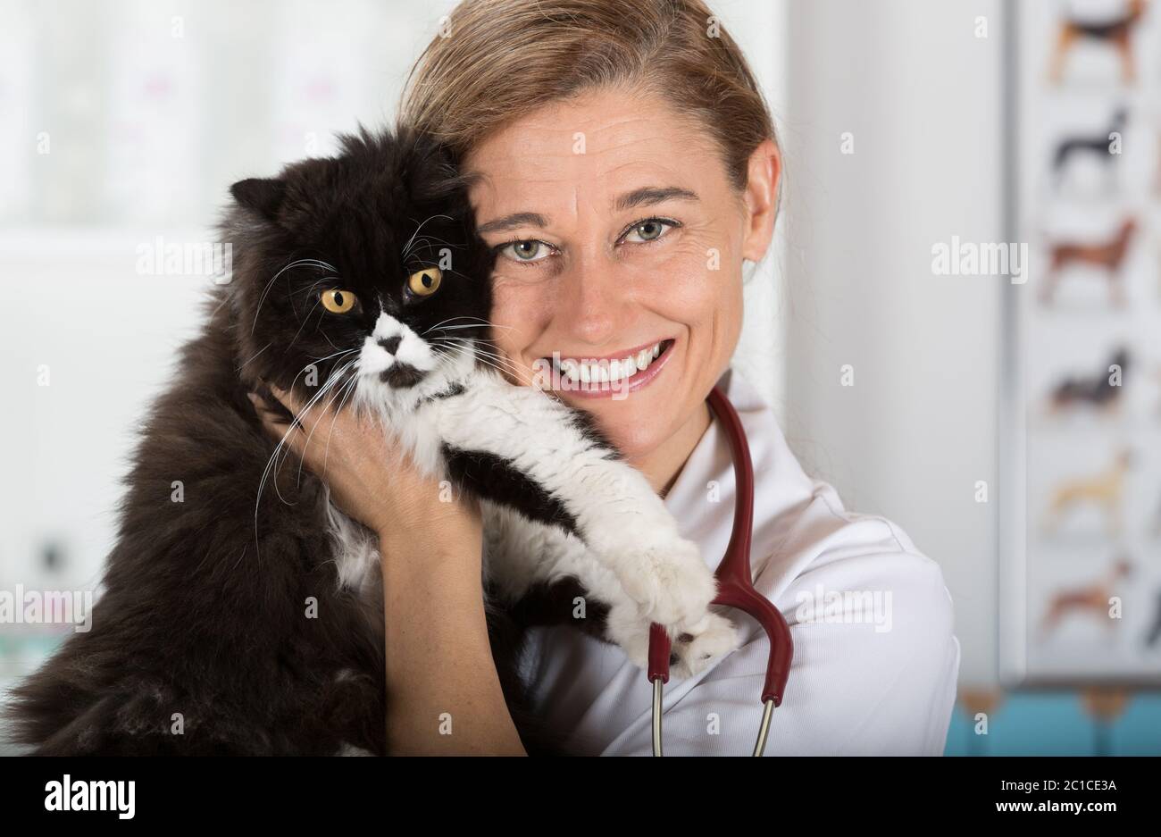 Veterinary hugging a cat and reassuring for review Stock Photo - Alamy
