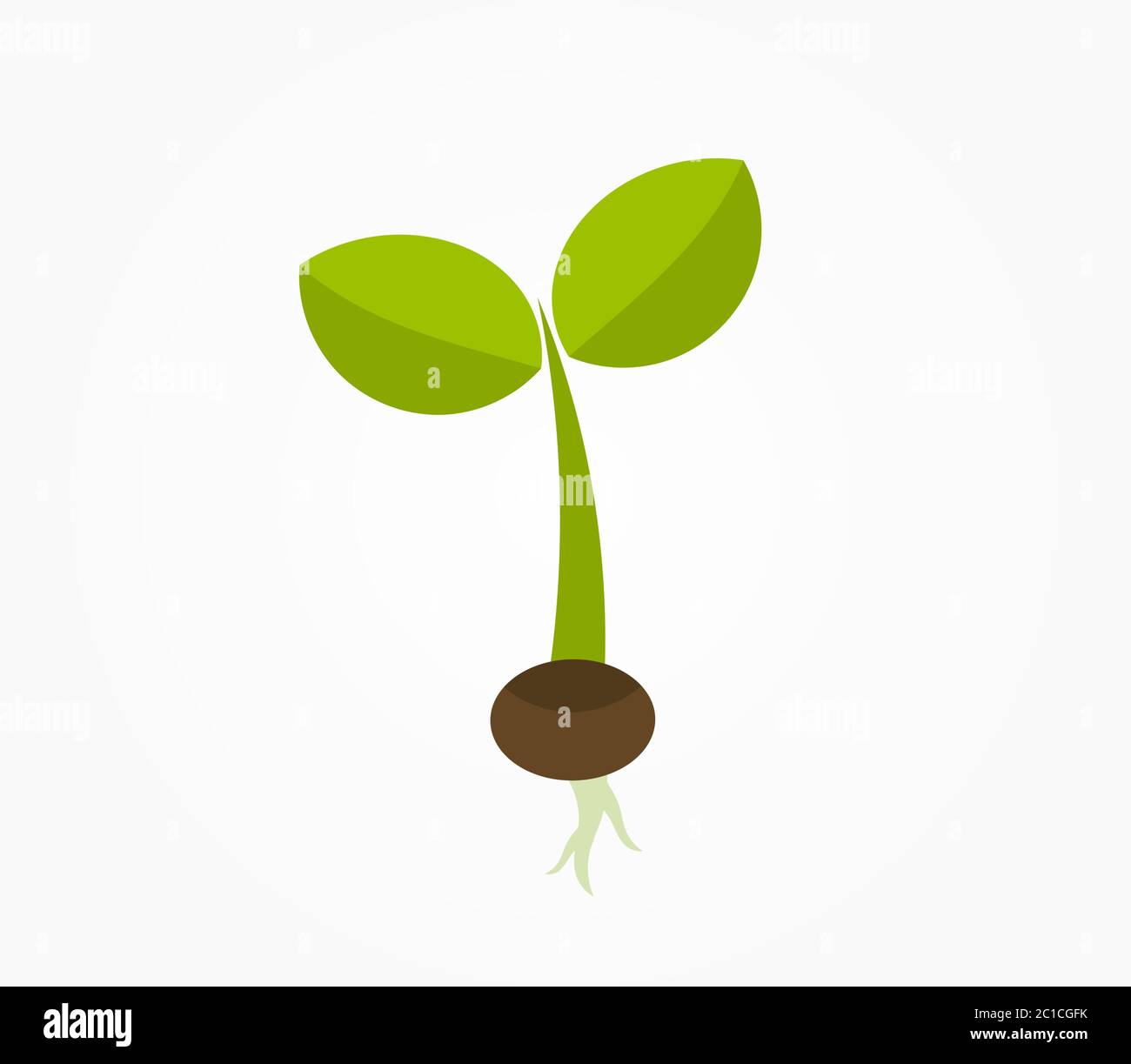 Plant Seed Icon