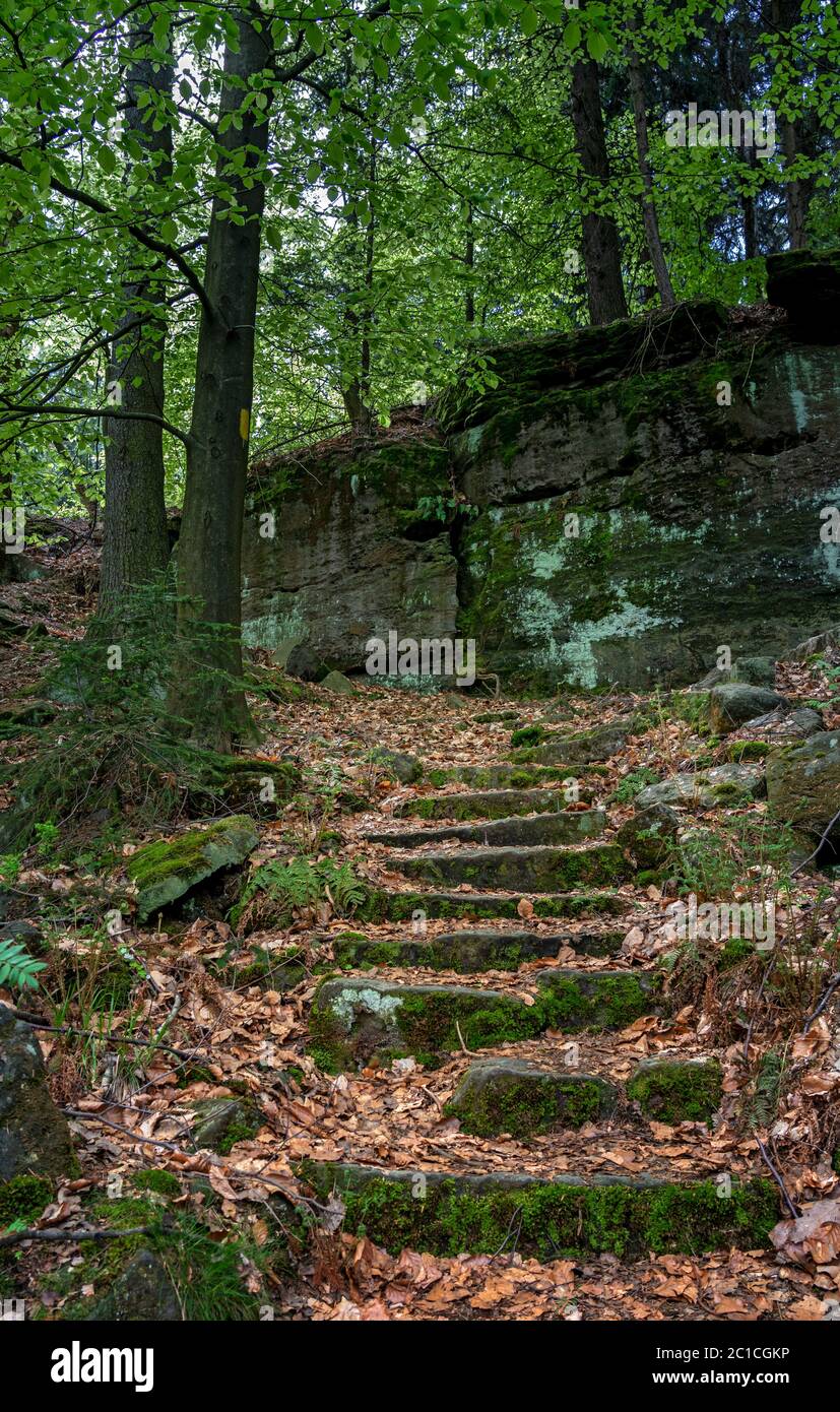 Stone stairs in the forest Stock Photo - Alamy