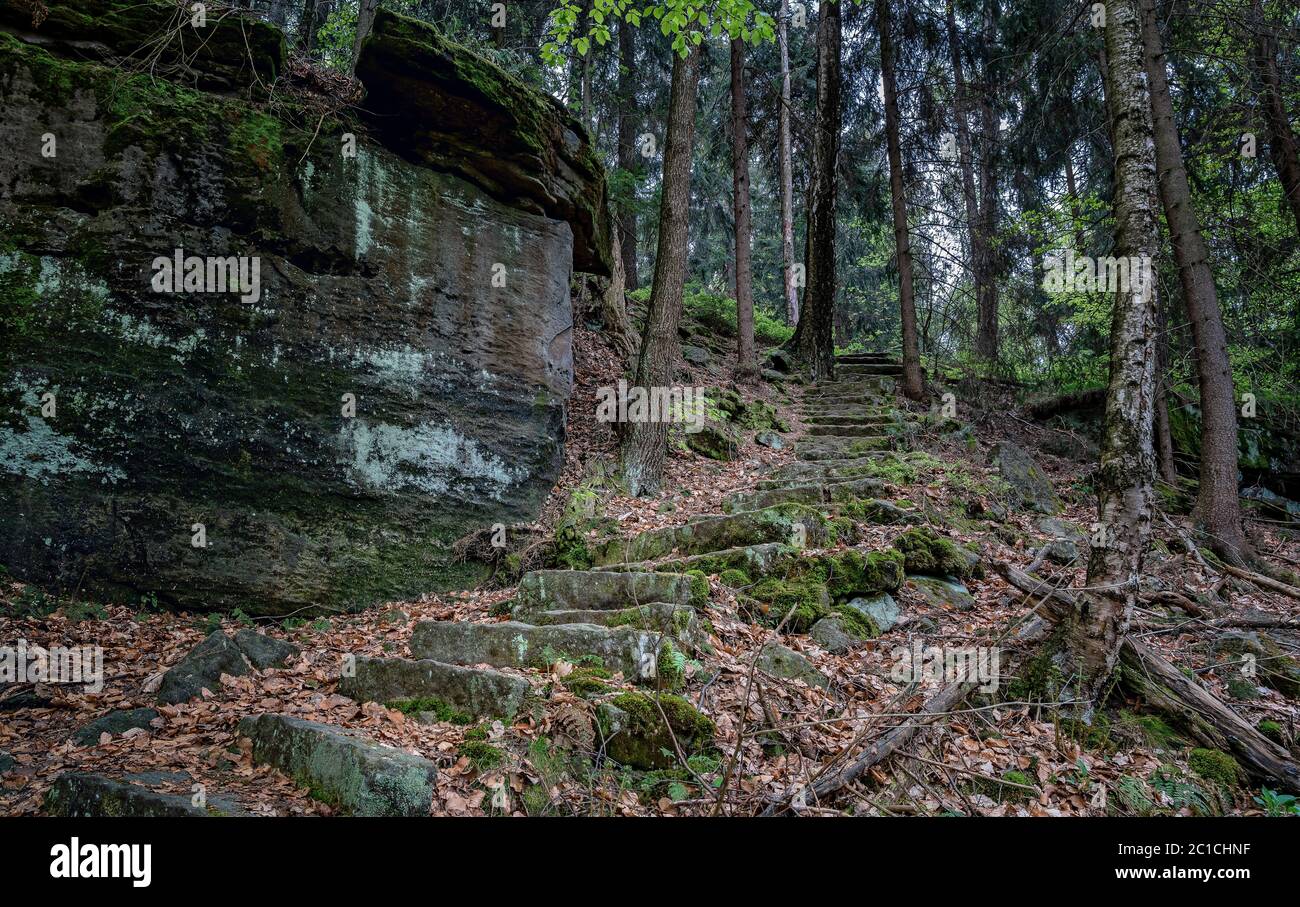 Stone stairs in the forest Stock Photo - Alamy