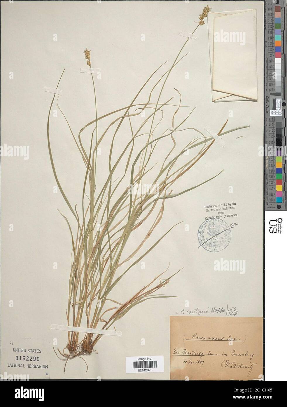 Contigua hi-res stock photography and images - Alamy