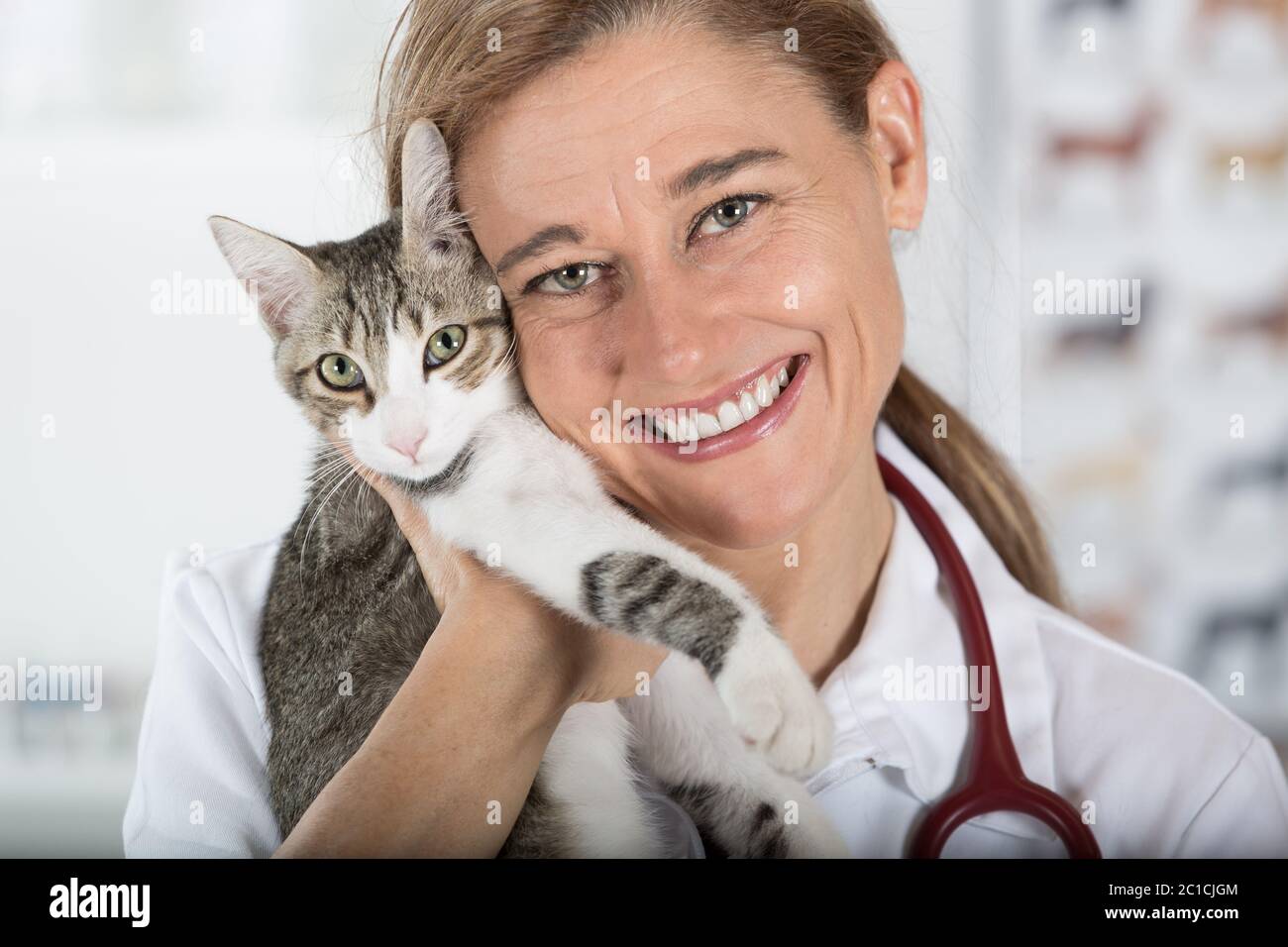 Veterinary hugging a cat and reassuring for review Stock Photo - Alamy