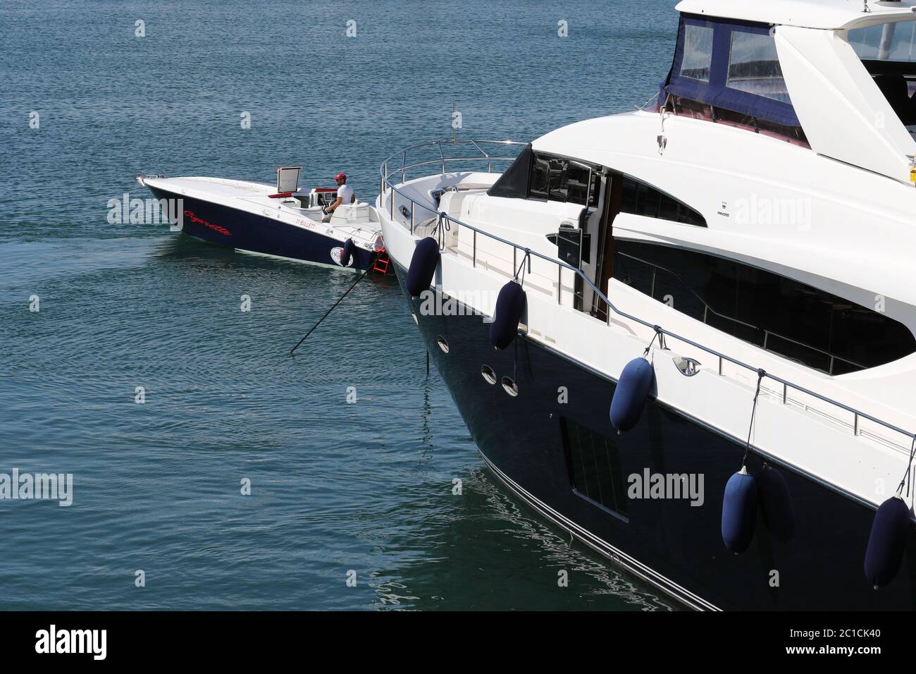 Cigarette Racing Team 1 World Champion - STF 32140 - street photo ...