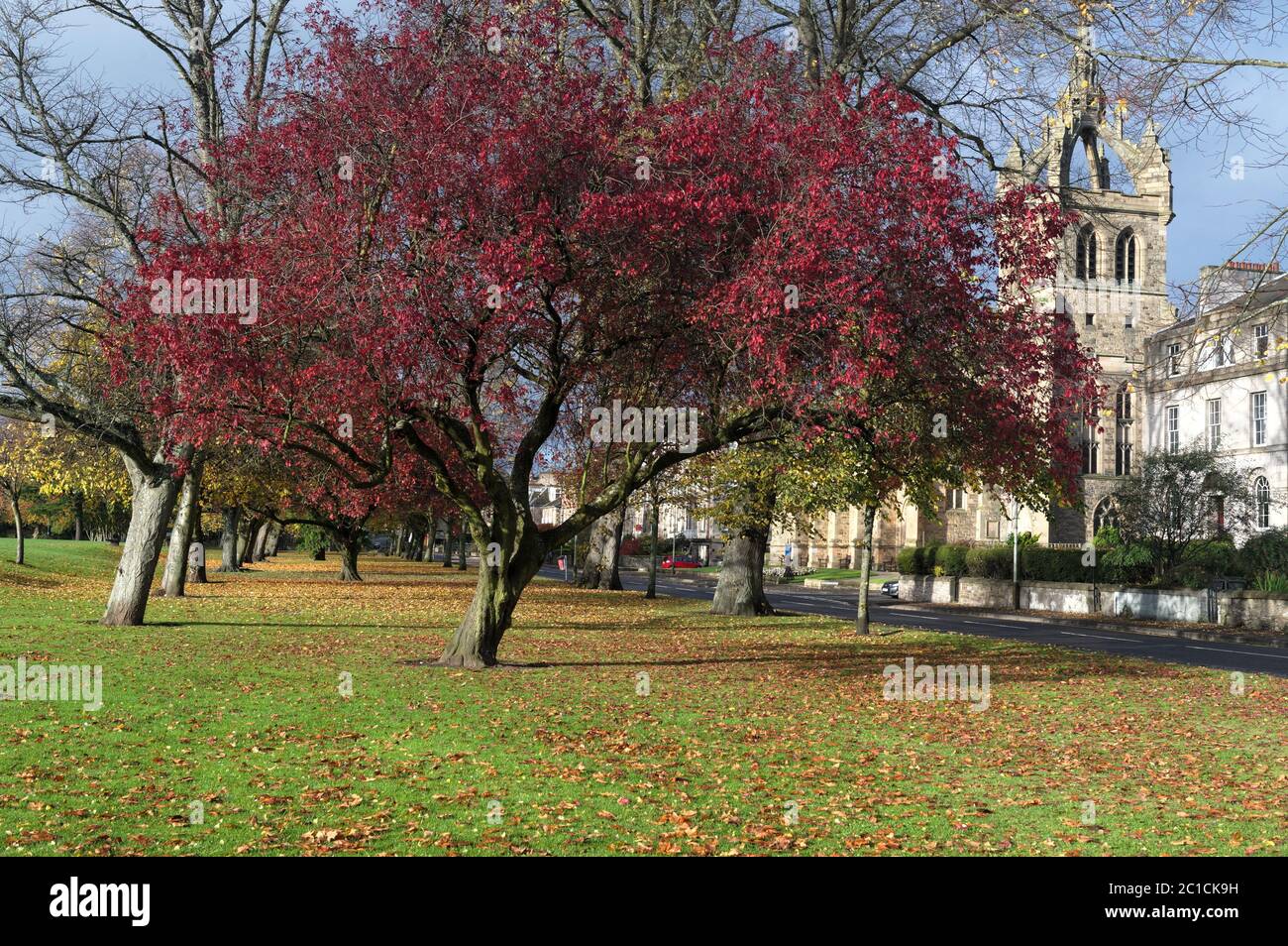 Perth south inch hi-res stock photography and images - Alamy