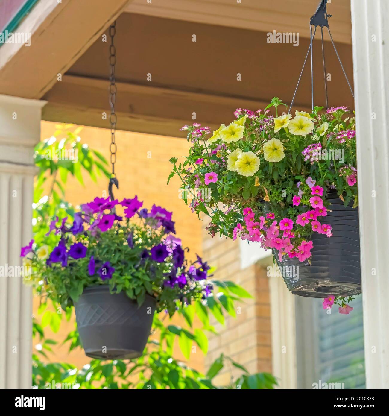 Chain Hanging Flower High Resolution Stock Photography and Images - Alamy