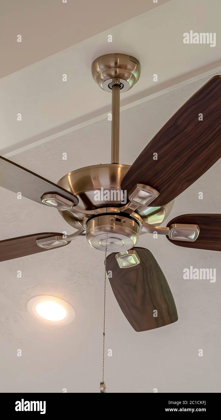 Vertical Electrical fan with built in lights installed on decorative ...