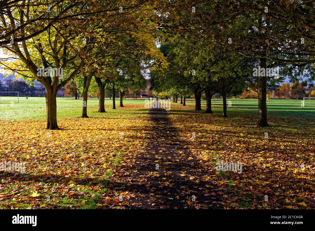 Perth south inch hi-res stock photography and images - Alamy