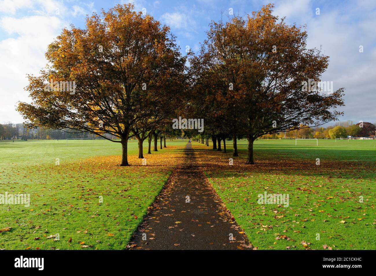 South inch park perth hi-res stock photography and images - Alamy