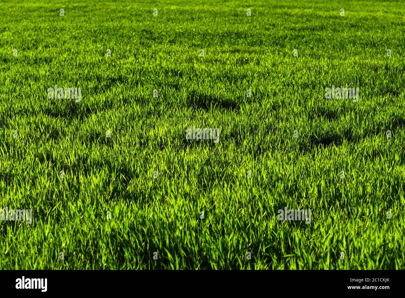 Wind and wave patterns hi-res stock photography and images - Alamy