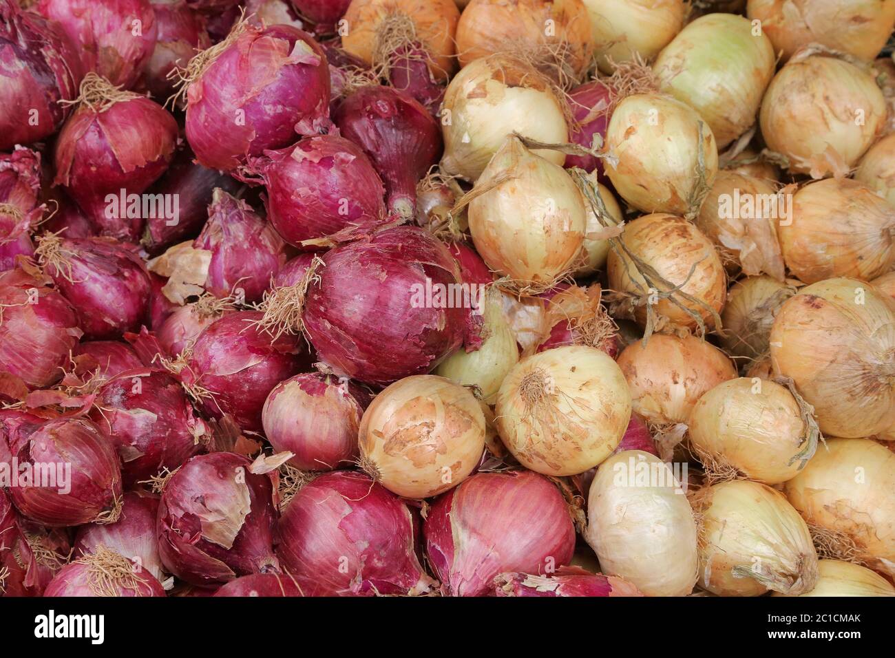 Variety of the onions hi-res stock photography and images - Alamy