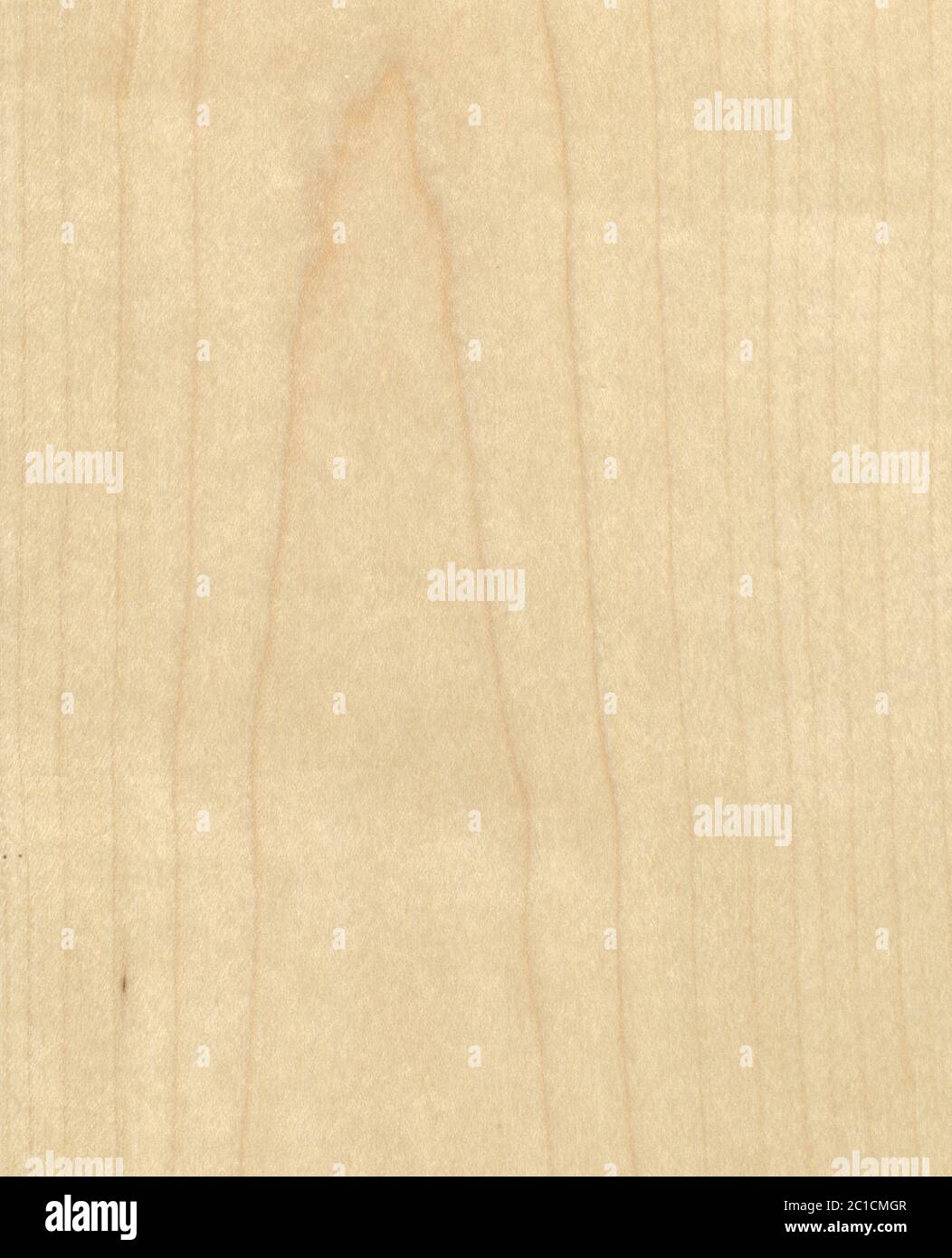 Maple acer platanoides tree bark hi-res stock photography and images ...