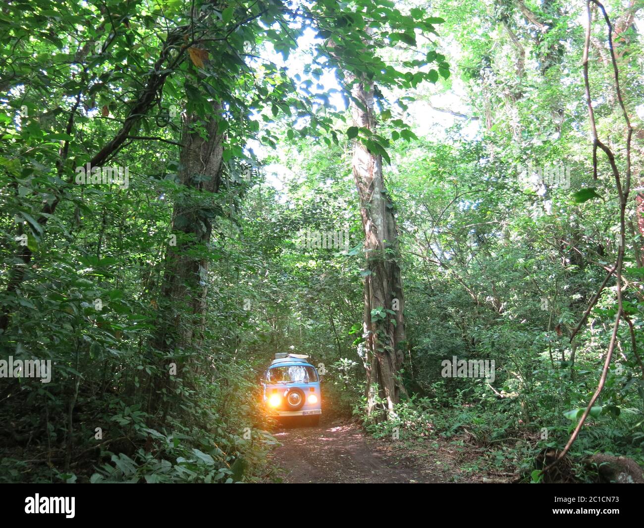 Vw Bus High Resolution Stock Photography and Images - Alamy