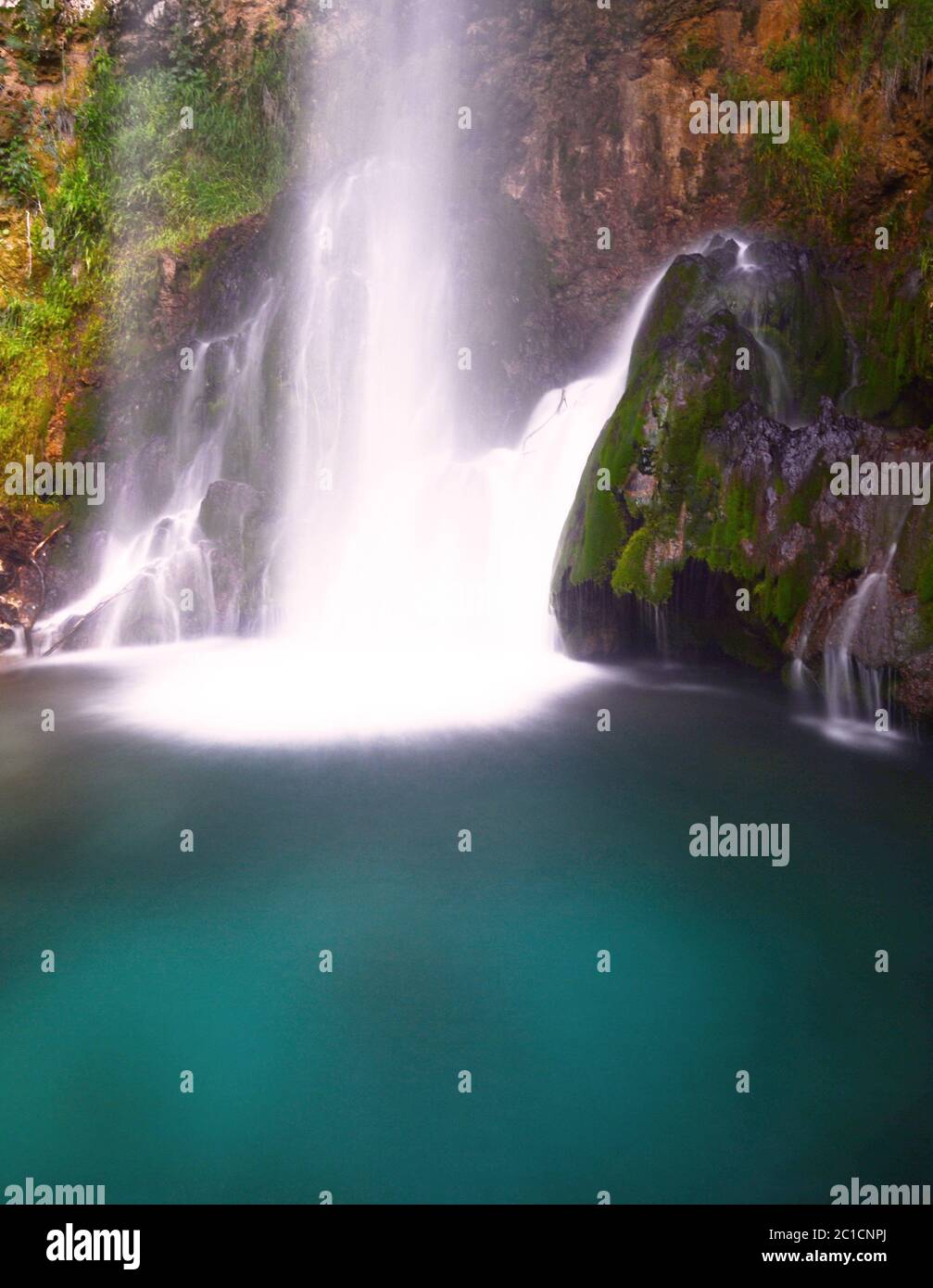 clean water stream in the forest flows Stock Photo - Alamy