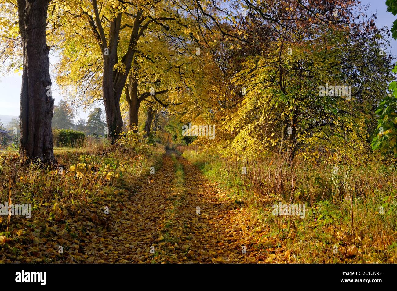 Moncreiffe island hi-res stock photography and images - Alamy