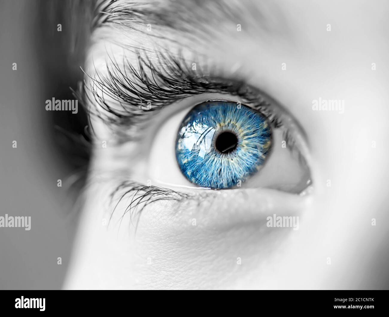 insightful look blue eyes boy Stock Photo - Alamy insightful look blue eyes boy Stock Photo - Alamy