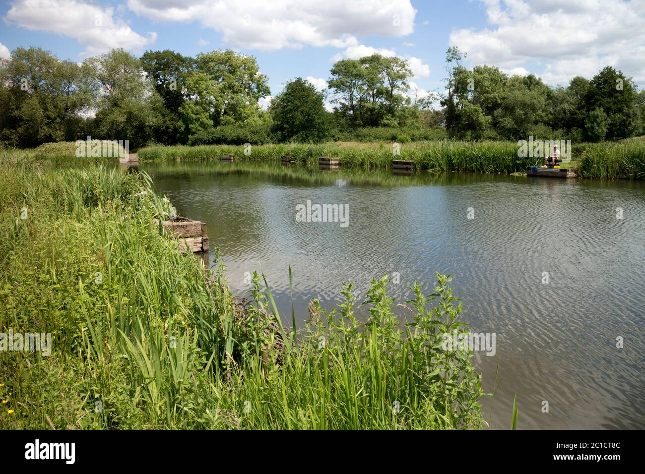 Kingfisher Pool in summer, Warwick, Warwickshire, England, UK Stock ...
