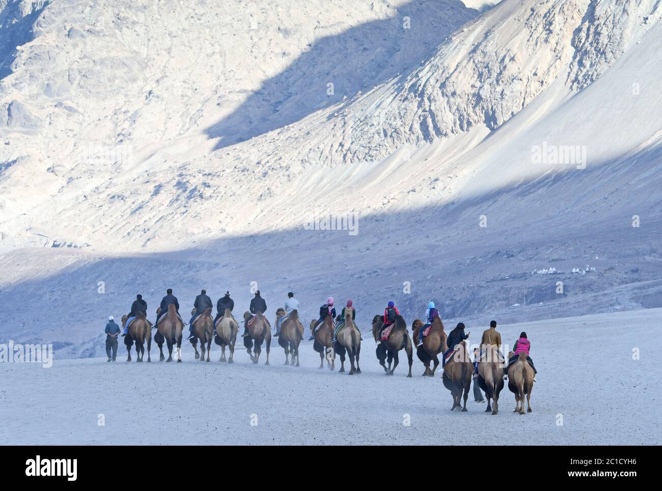 Camel riders in Hunder, nubra Valley Stock Photo - Alamy