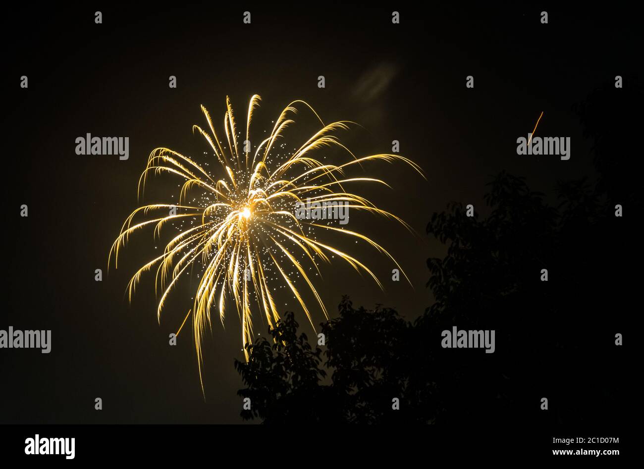 Yellow fireworks at night sky with visible trees Stock Photo - Alamy