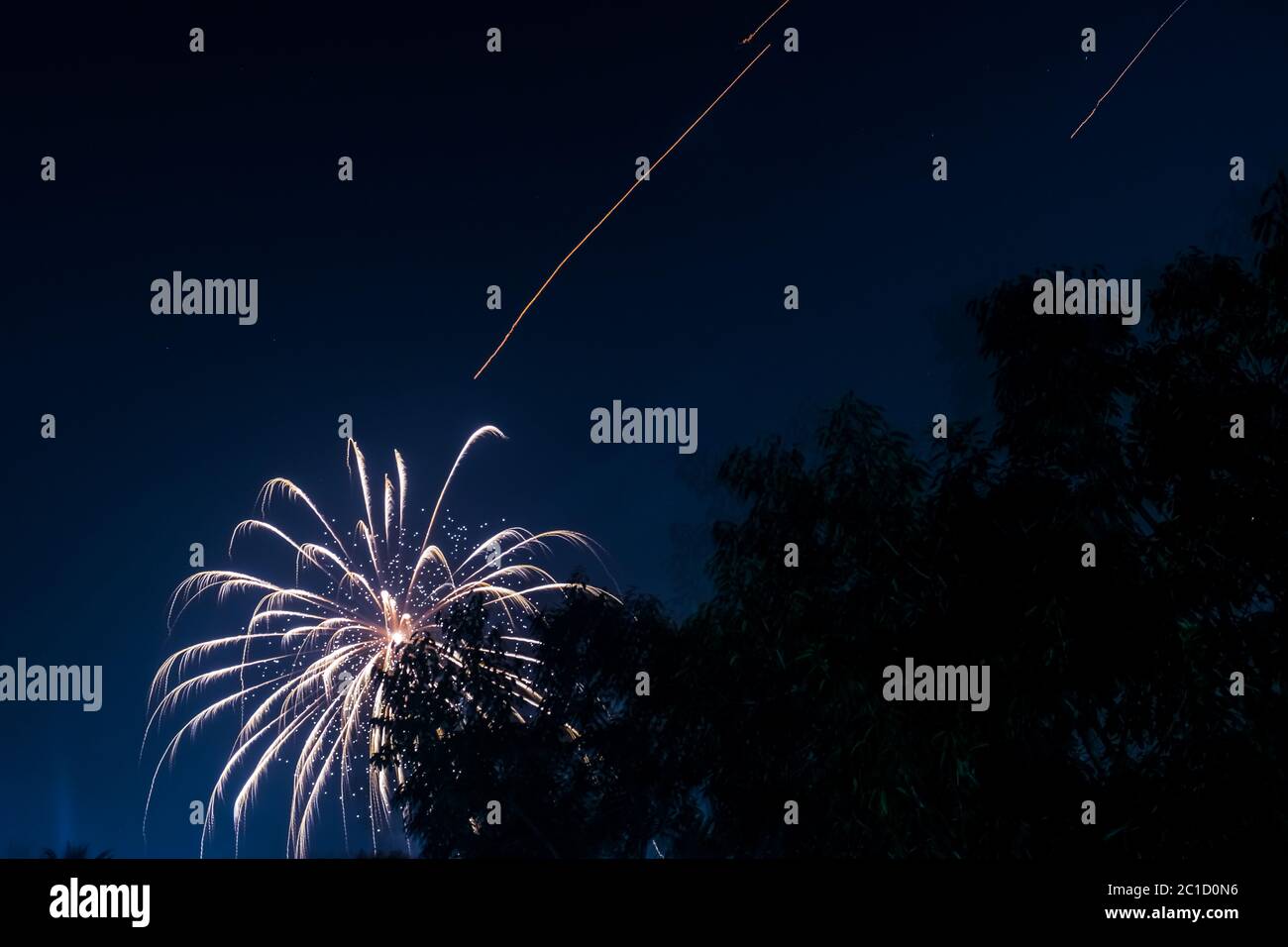 White and yellow fireworks at night sky with visible trees Stock Photo ...