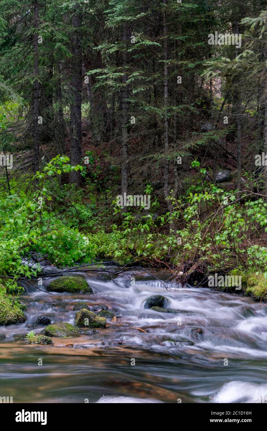 River stream running in rain hi-res stock photography and images - Alamy