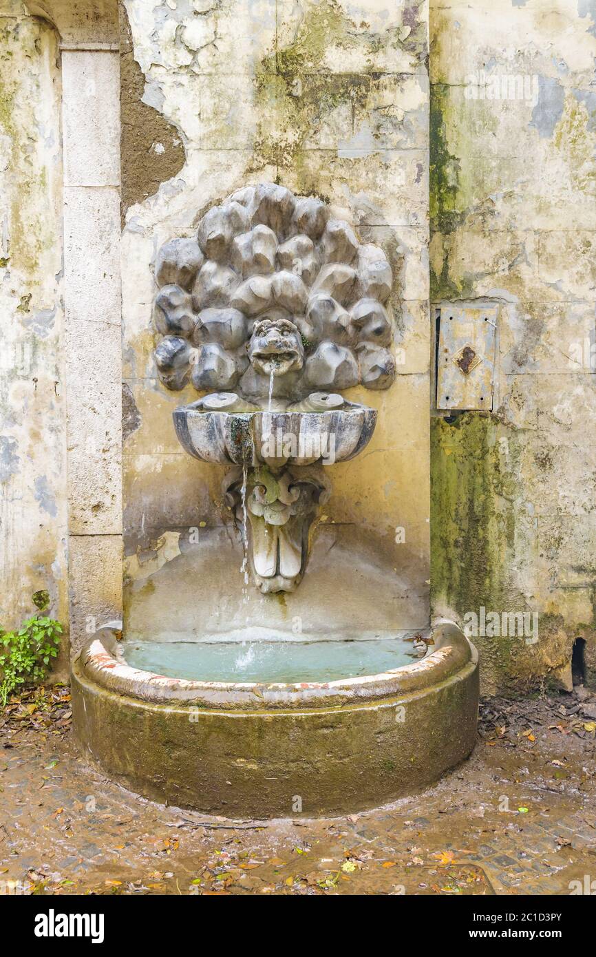 Water sprue hi-res stock photography and images - Alamy