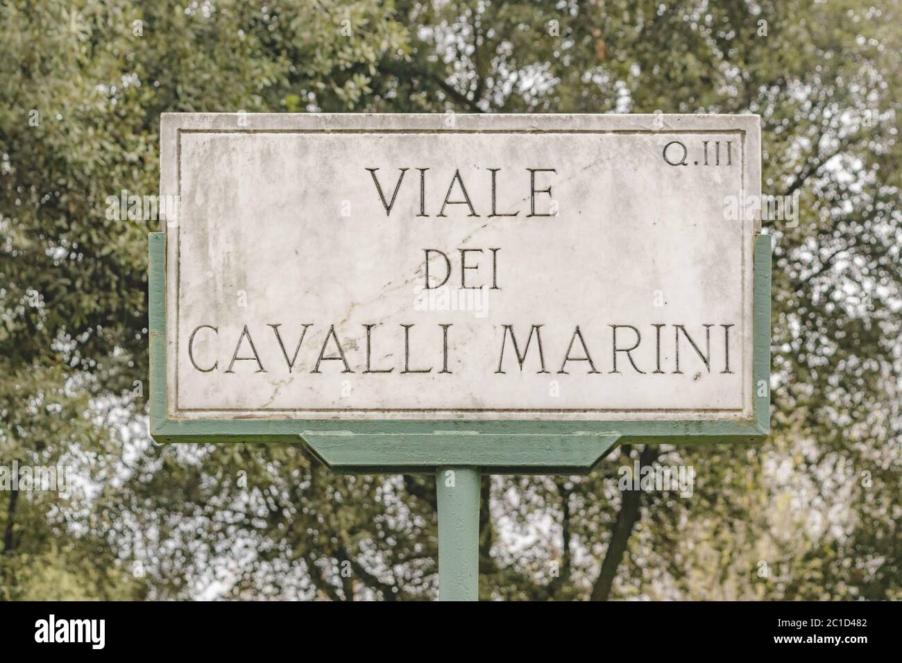 Roma street gardens hi-res stock photography and images - Alamy
