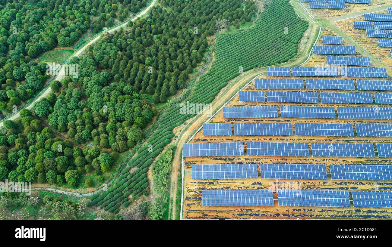 Solar farm, solar panels aerial view Stock Photo - Alamy